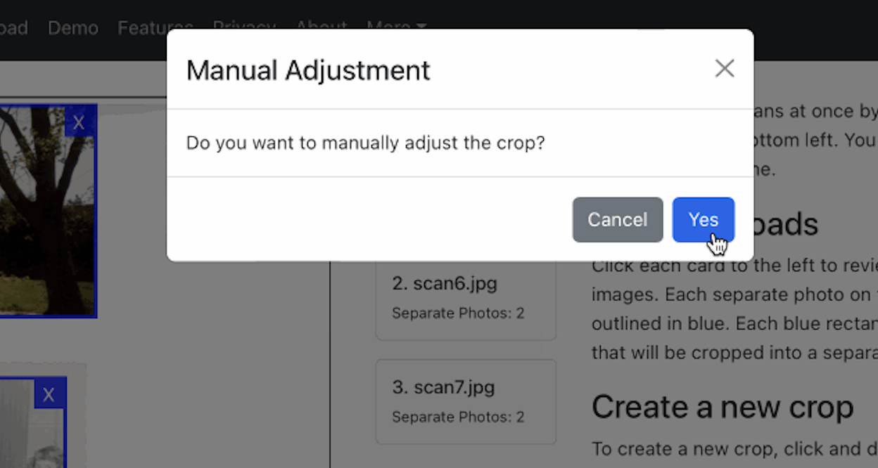 AutoCropper | How to edit, adjust, and create individual crops